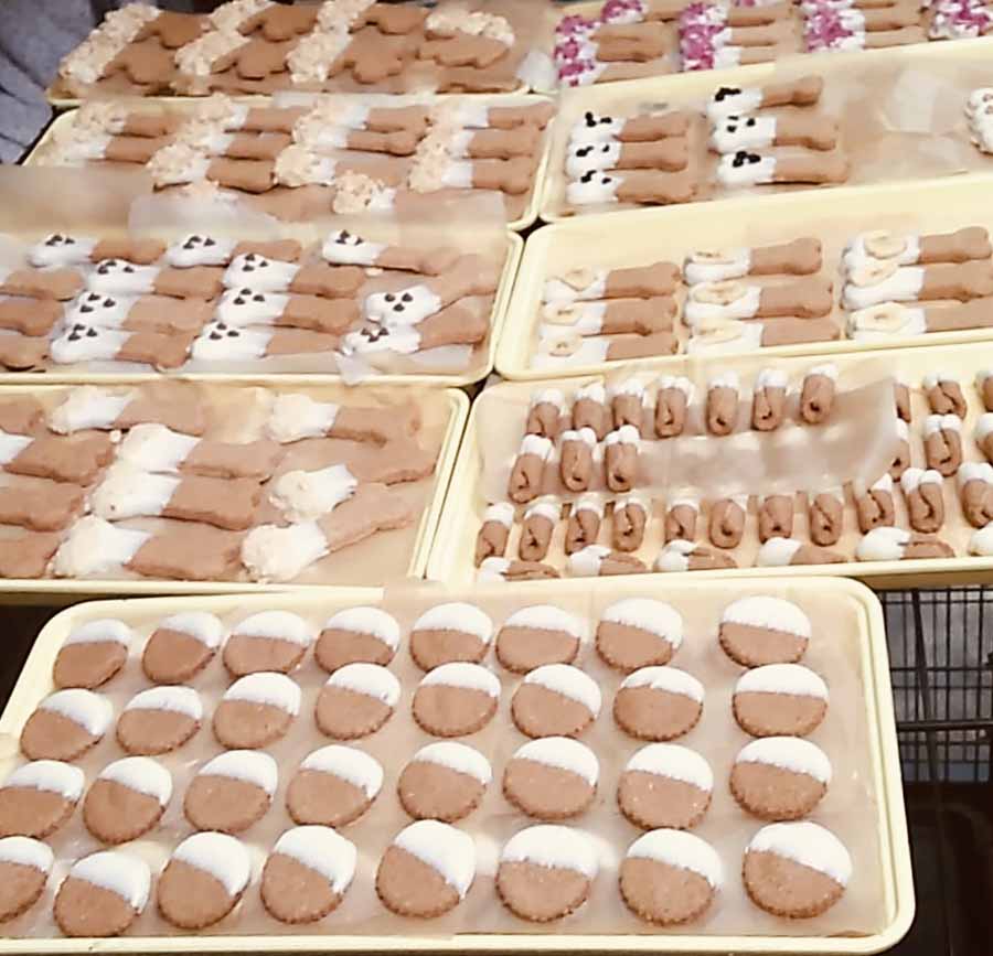Bone-a-Fido Bakery