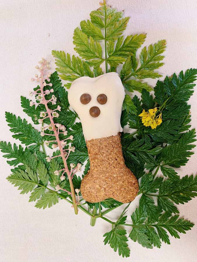 Bone-a-Fido Bakery